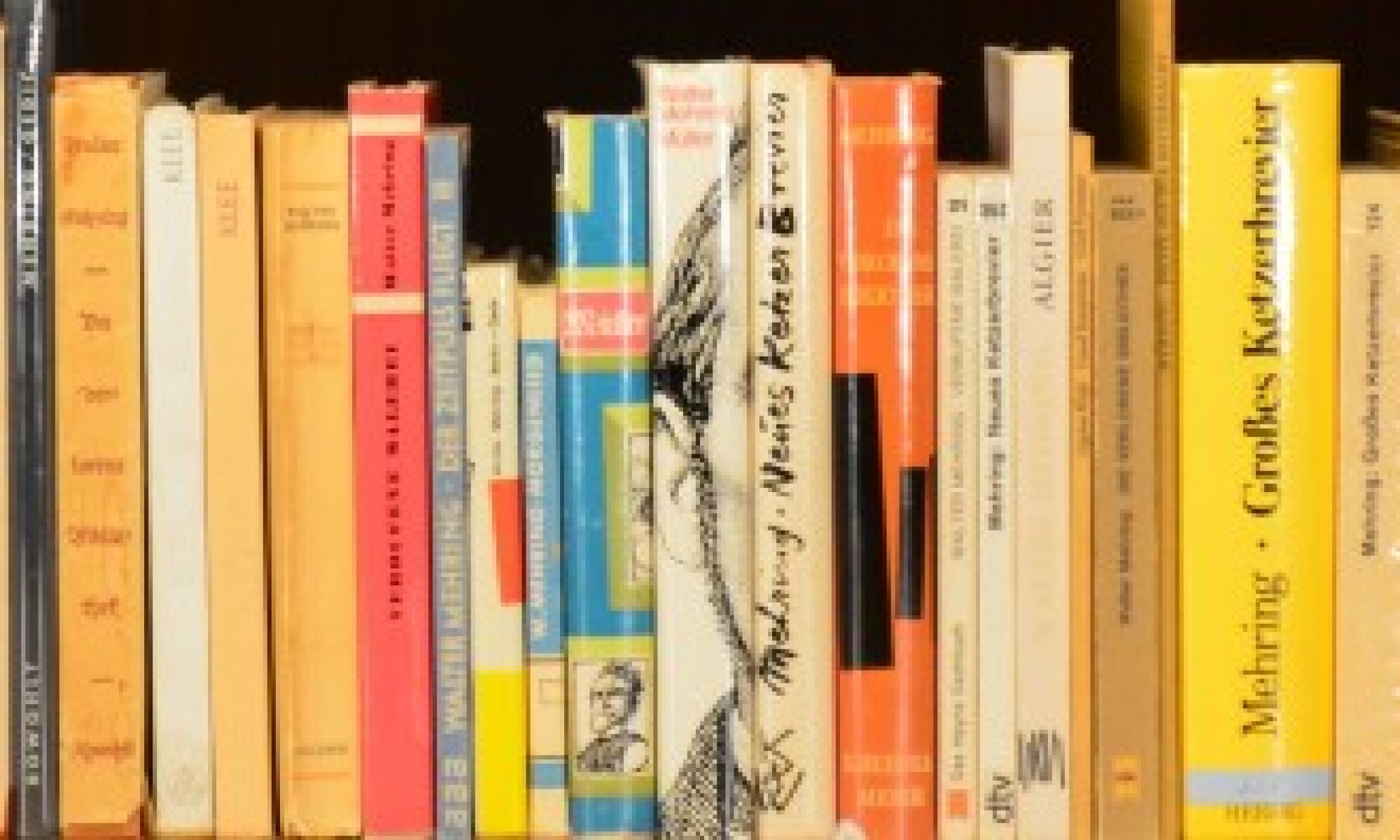 Walter Mehring - Wirkung, Interpretationen, Biografisches